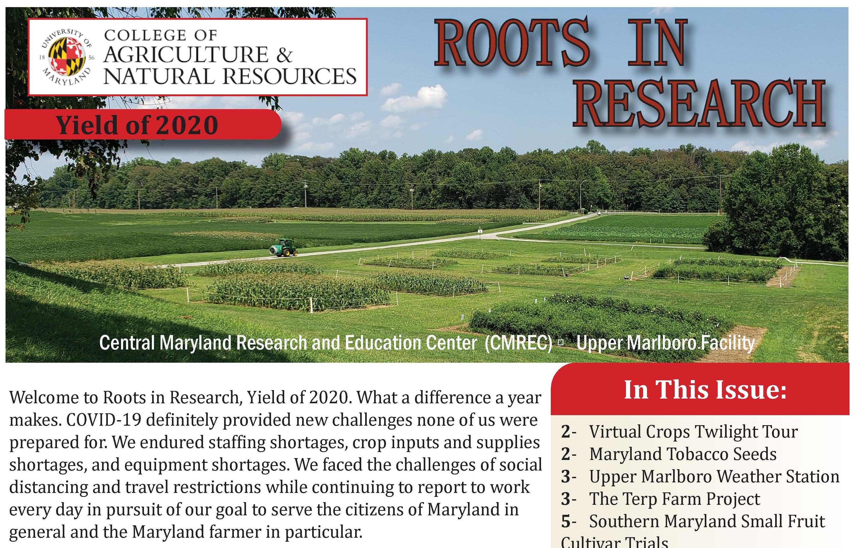 Redirecting to https://extension.umd.edu/resource/roots-research-yield-2020-cmrec-upper-marlboro